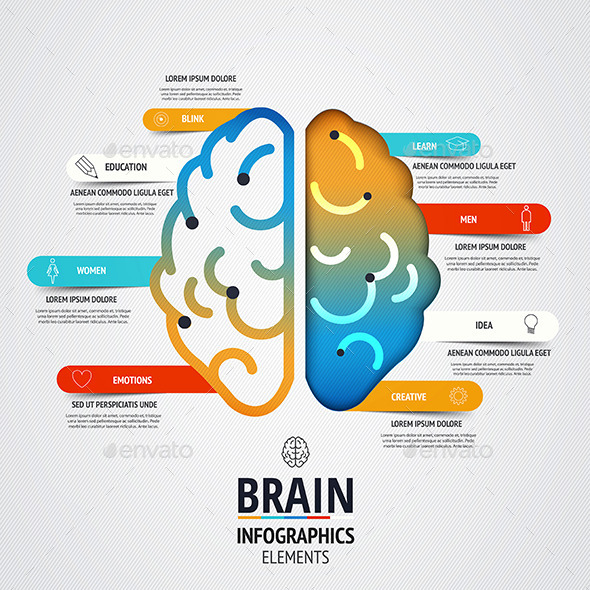 Creative Brain Infographics Design by graphics4u | GraphicRiver